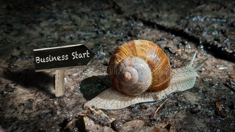 Street Sign BUSINESS START stock photo. Image of employed - 227252630