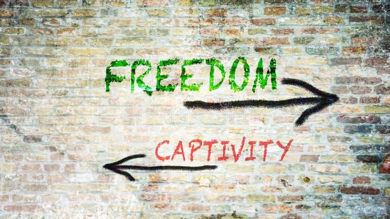 Street Sign To Freedom Versus Captivity Stock Photo - Image of ...