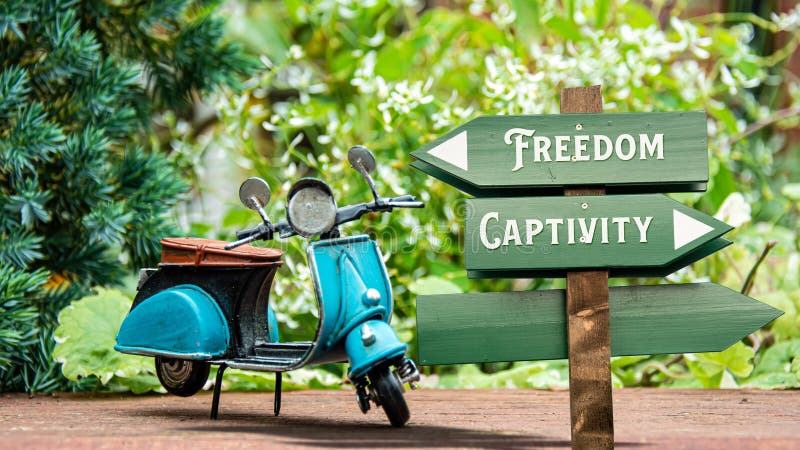 Street Sign To Freedom Versus Captivity Stock Photo - Image of ...