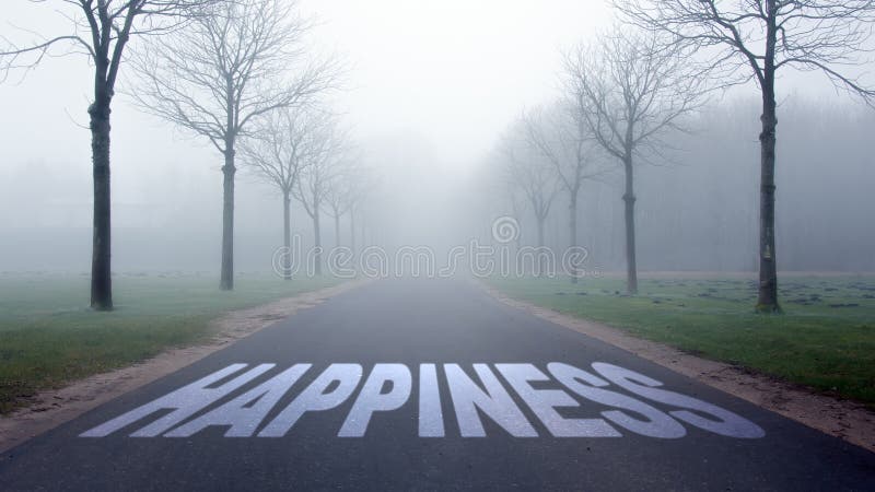Street Sign to Happiness stock image. Image of gladness - 249536117