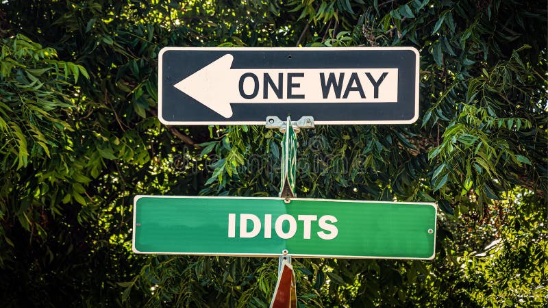 Street Sign to Idiots stock image. Image of shield, idiot - 240372031