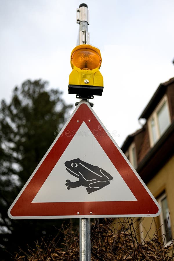 Street Sign Warning for Toad Crossing Stock Image - Image of wood ...