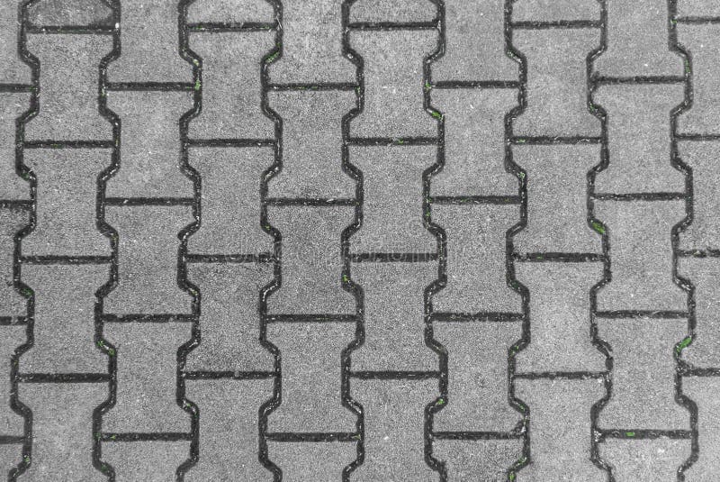 Street tiles with moss stock image. Image of block, floor - 59661123