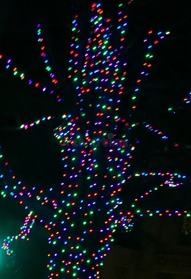 Street Tree Decorated for Christmas Stock Photo - Image of night ...