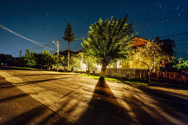 Street and Tree Illuminated at Night Stock Photo - Image of street ...