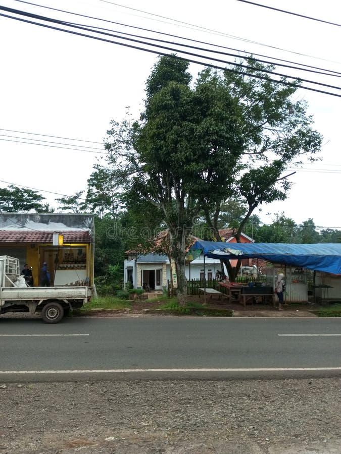 Street Tree Views on Village Editorial Photography - Image of suburb ...
