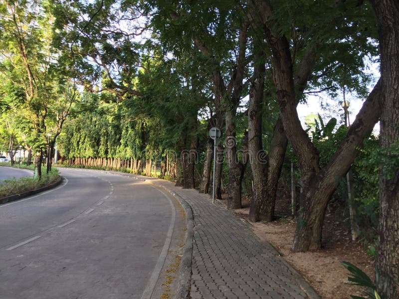 Street and tree stock photo. Image of sign, garden, morning - 104643278