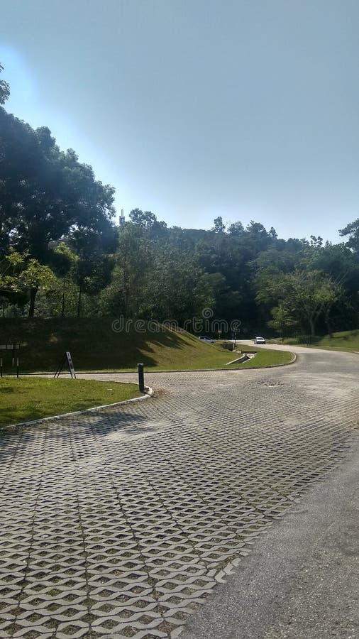 Street with trees stock image. Image of trees, infrastructure - 203802033