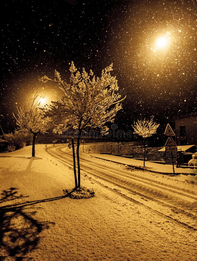 Street with Trees, Lights and Snowflakes Stock Image - Image of weather ...