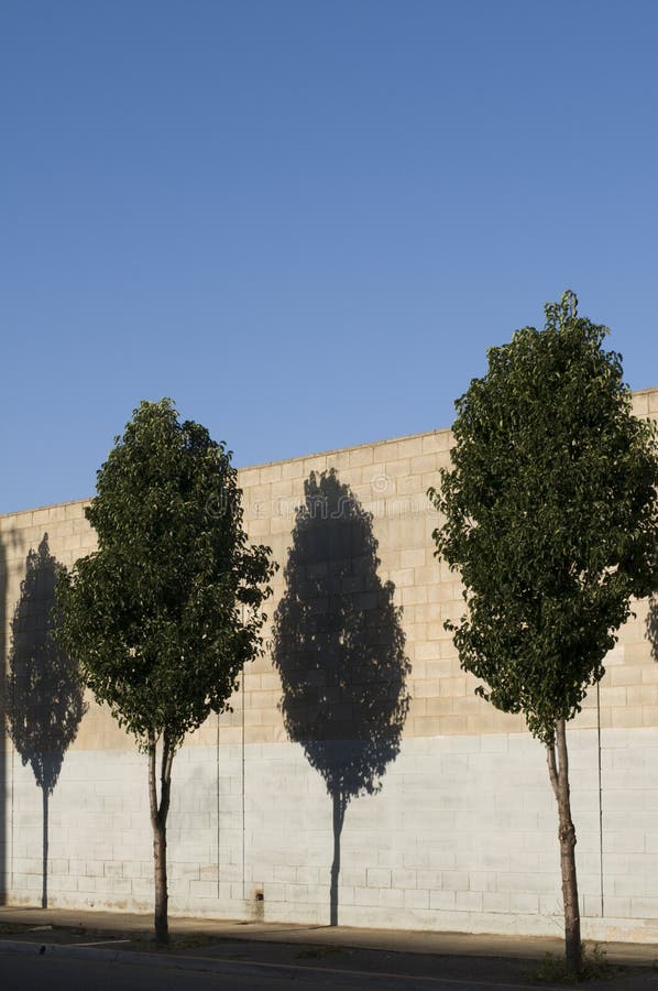 Street Trees Outside Factory Wall Stock Photo - Image of factory ...