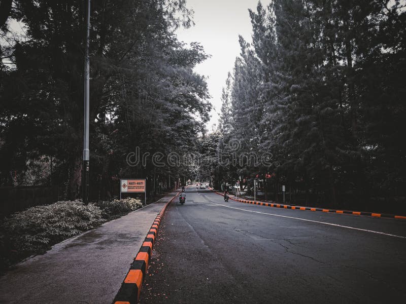 Street View Consisting of Road Lines, Sidewalks, Road Signs, and ...