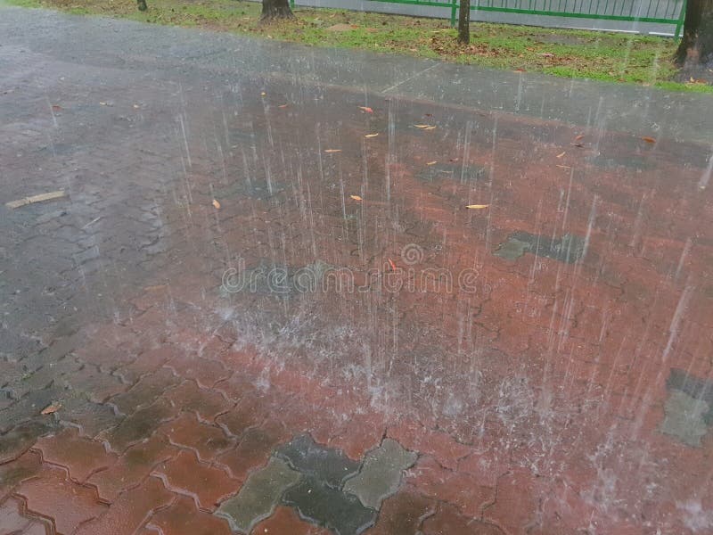 Singapore : Heavy Rain Scene Stock Photo - Image of urban, tile: 260093710