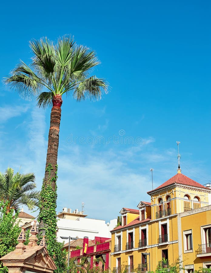 Street view of Sevilla stock photo. Image of view, street - 103095750