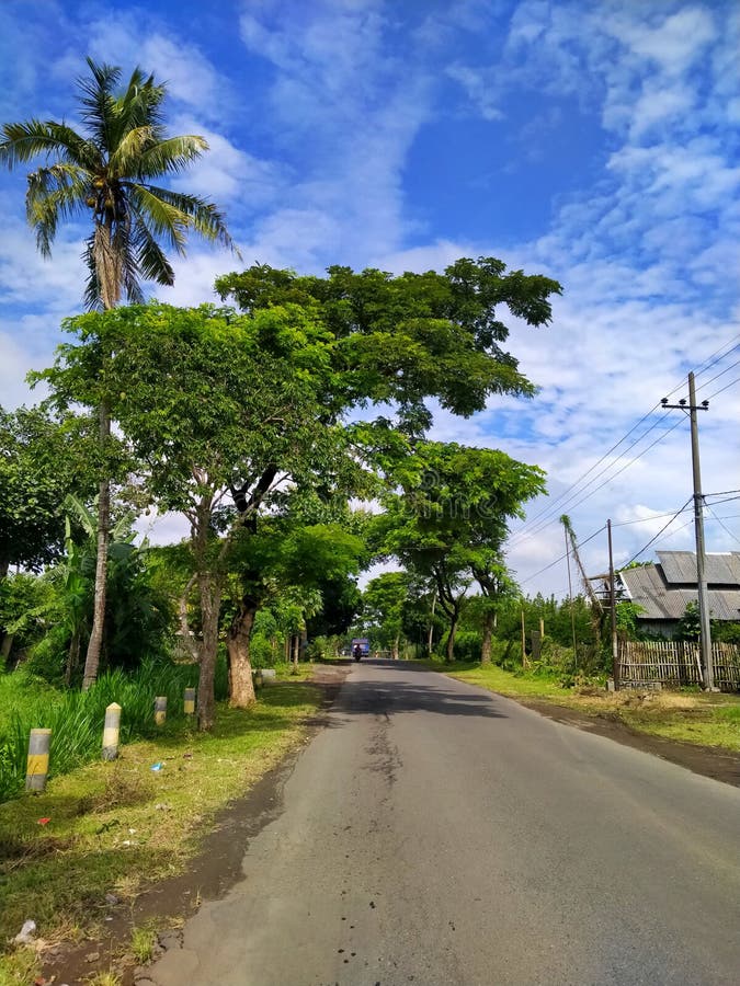 Street View of Trees and Clouds in Indonesia Stock Photo - Image of ...