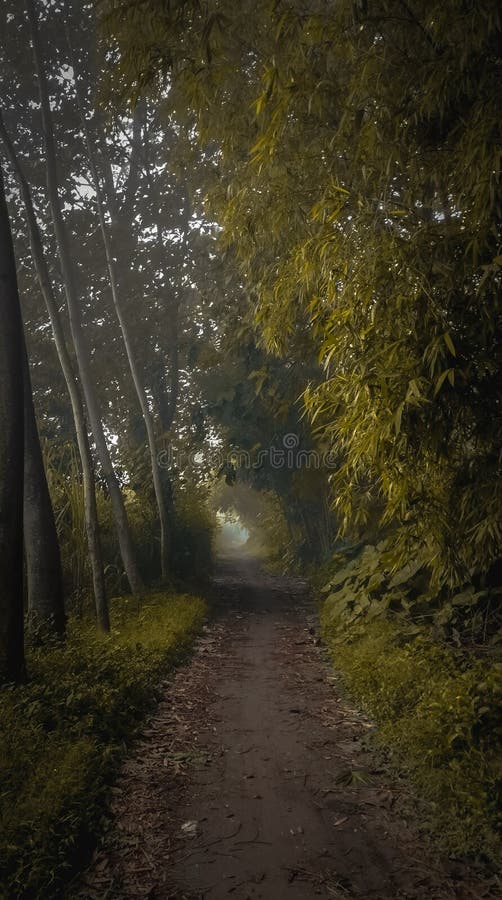 Street vilage stock image. Image of street, landscape - 374636811