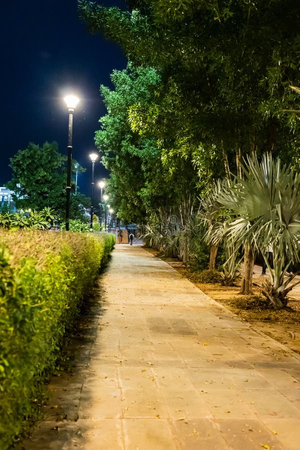 Street Walking Path with Tree at Evening from Low Angle Stock Image ...