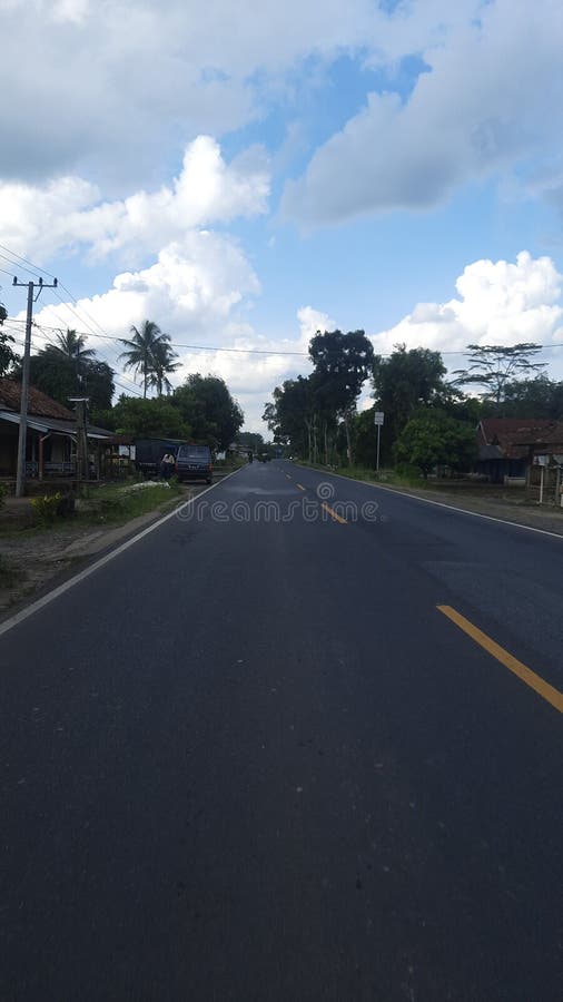 Street Wind Cable Trees Lines Stock Photo - Image of street, trees ...