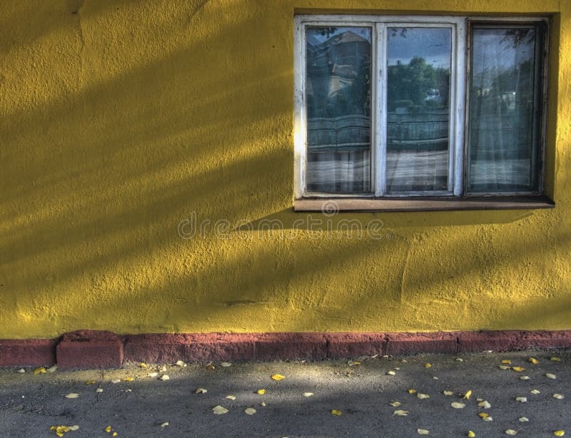 Street Window stock photo. Image of leaf, abstract, window - 3222214