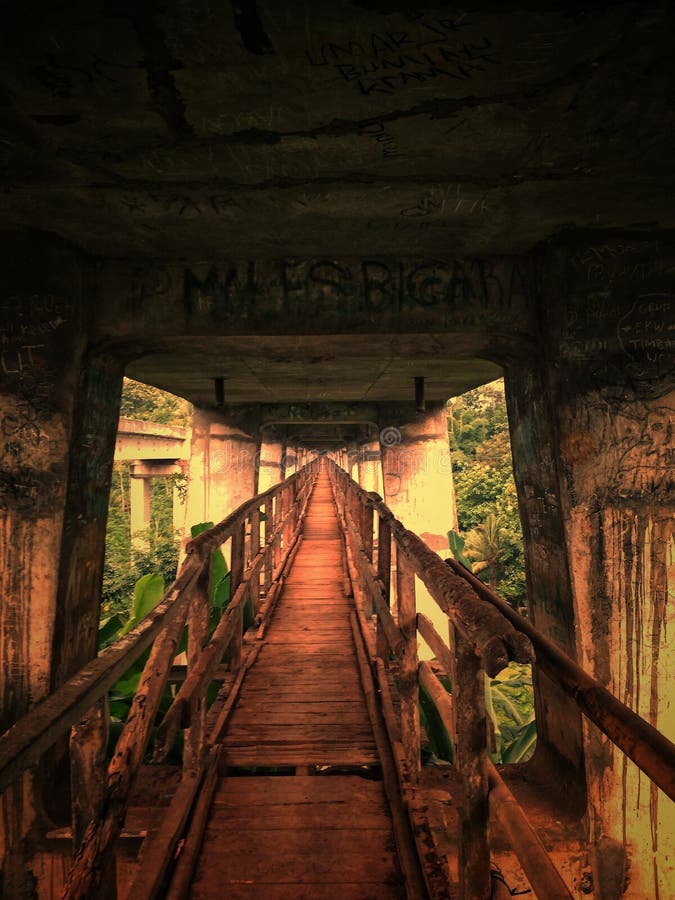 Brigth stock image. Image of brigth, work, nature, street - 111958597