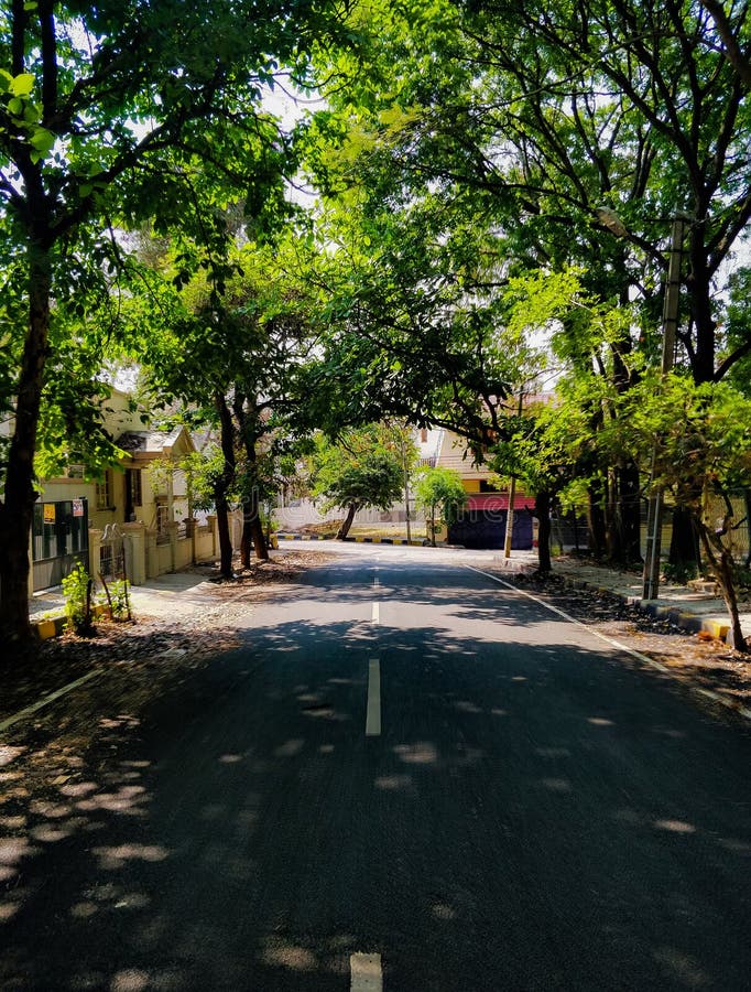 Bengaluru& X27;s Greenery Stock Image - Image of greenery, streets ...