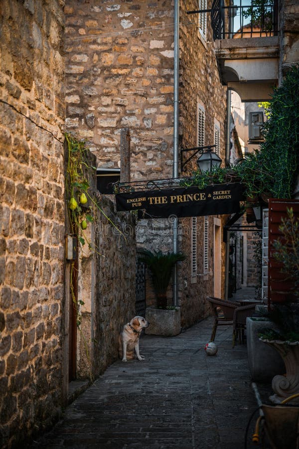 Streets of Budva Old Town. Budva, Montenegro Editorial Stock Photo ...