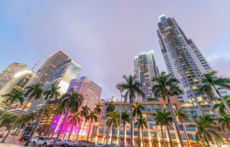 Streets and Buildings of Downtown Miami at Night Stock Image - Image of ...