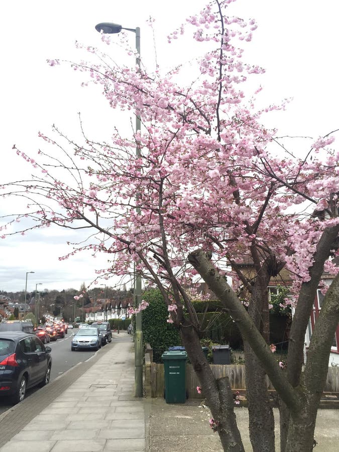 Streets of Hendon editorial stock image. Image of hendon - 93470309