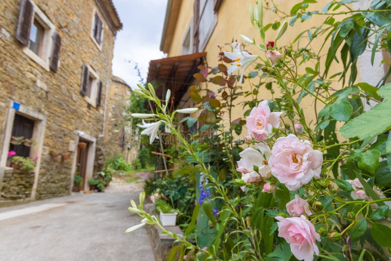Streets of Momjan Town in Croatia Stock Photo - Image of rustic, karst ...