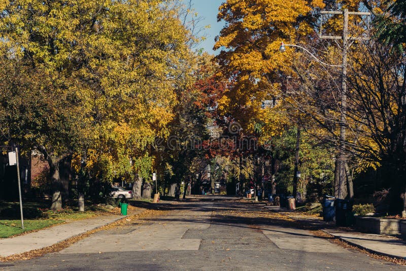 Streets of Toronto during the Fall Editorial Stock Photo - Image of ...