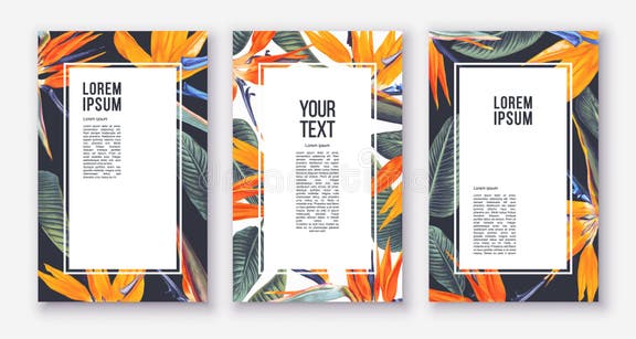 Strelitzia Tropical Flowers Poster Templates. Bird of Paradise Flower ...