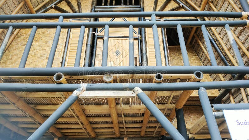 The Strength of the Bamboo Series Stock Photo - Image of bamboo ...