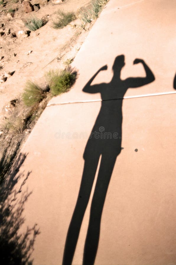 Strength in Shadow stock photo. Image of nature, muscle - 6721958