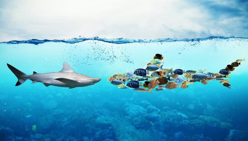 The strength of the union stock image. Image of determined - 66060269