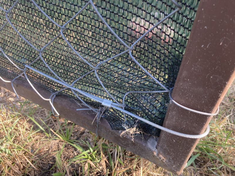 Strengthening the Fence with a Rope and Wire Stock Photo - Image of ...