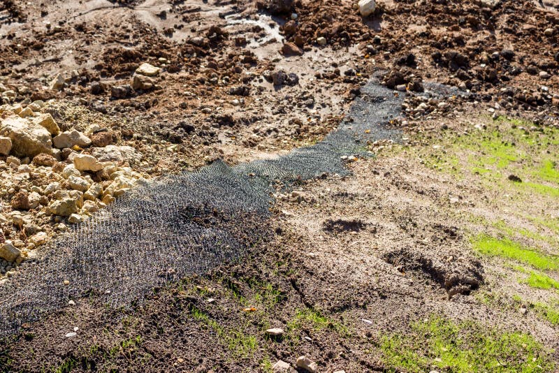 Strengthening the River Bank with Geogrid Reinforcement Stock Image ...