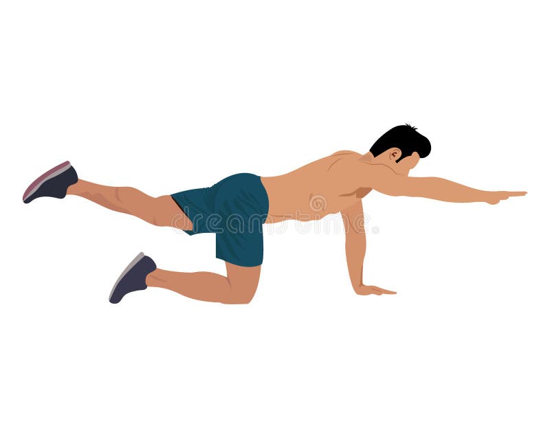 Man Doing Bird Dog Exercise on White Background. Side Plank Workout ...