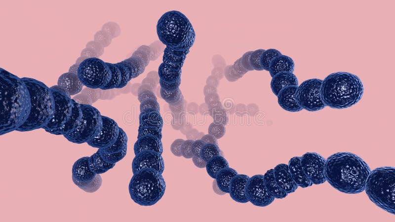 Strep Throat is Caused by Infection with a Bacterium Known As ...