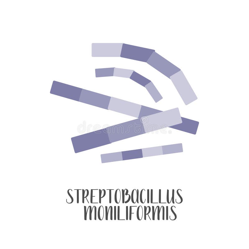Box-shaped Bacteria. Bacteria Classification. Irregular Shapes of ...