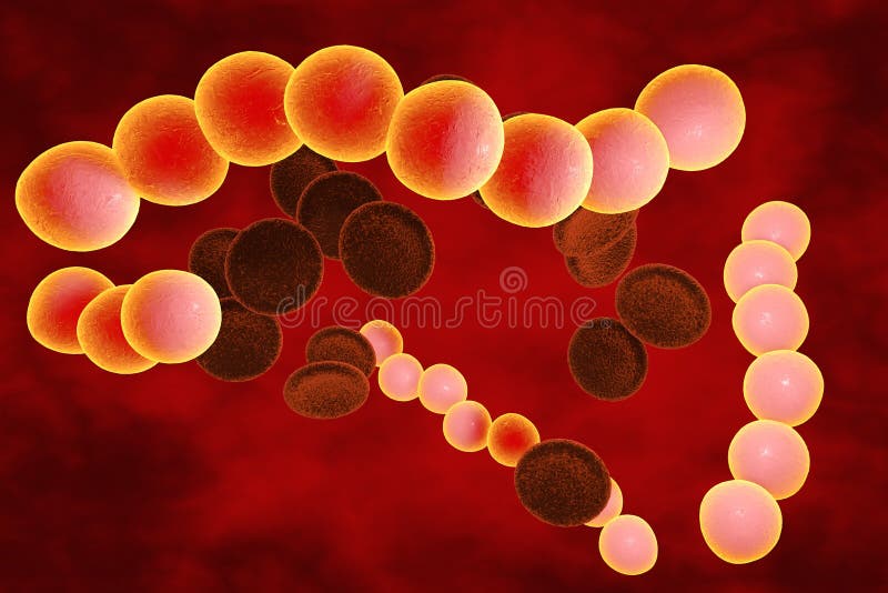 Streptococci Bacteria Stock Illustrations – 867 Streptococci Bacteria ...