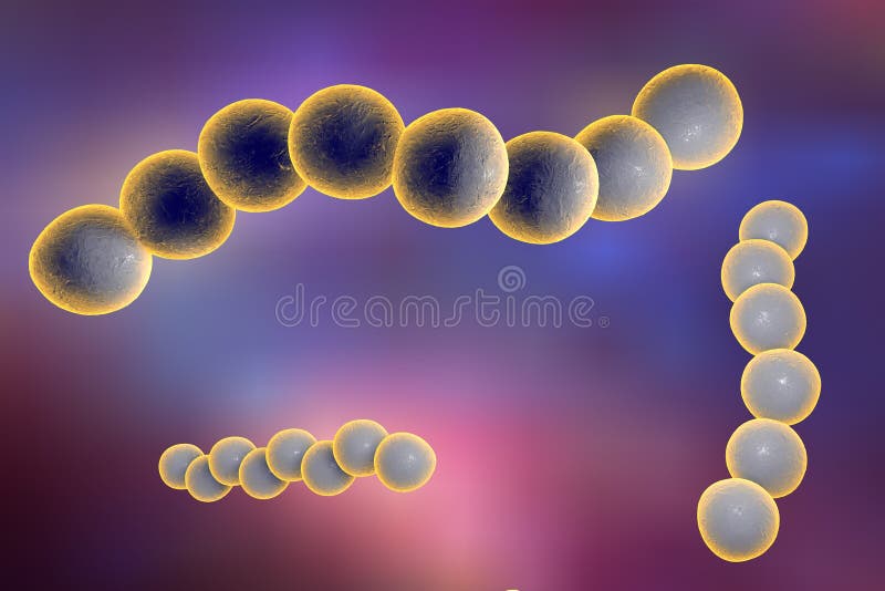 Streptococci Bacteria in Blood Stock Illustration - Illustration of ...