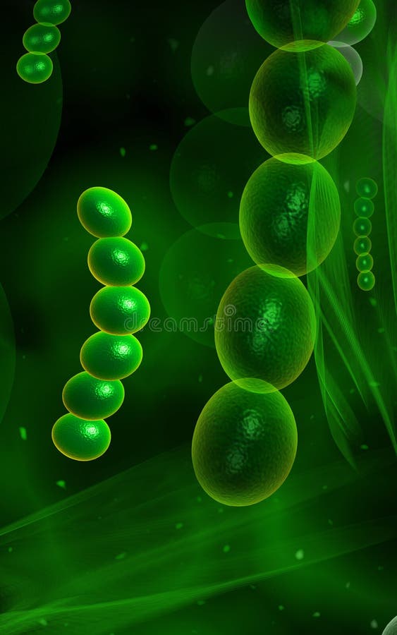 Streptococcus stock illustration. Illustration of cellular - 2231273