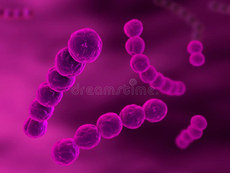 Streptococcus Virus Stock Illustrations – 1,862 Streptococcus Virus ...