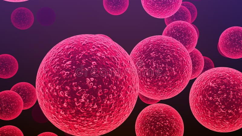 Streptococcus Bacteria. Streptococcus Species are Responsible for ...