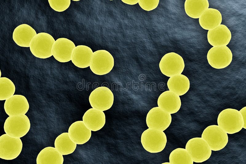 Streptococcus Bacterium Microscopic View 3D Illustration Stock ...