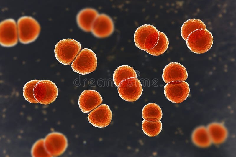 Streptococcus Pneumoniae Bacteria, 3D Scientific Illustration Stock ...