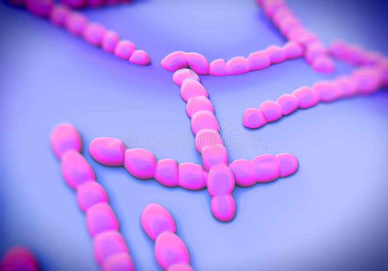 Streptococcus Pneumoniae Bacteria Cell Medical Diagram Icon Stock ...