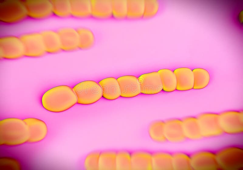 Streptococcus Pneumoniae, Bacteria Artwork Stock Illustration ...