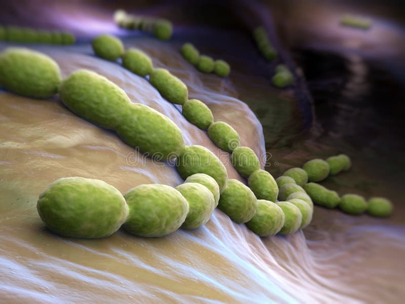 Streptococcus pneumoniae stock illustration. Illustration of pathogenic ...
