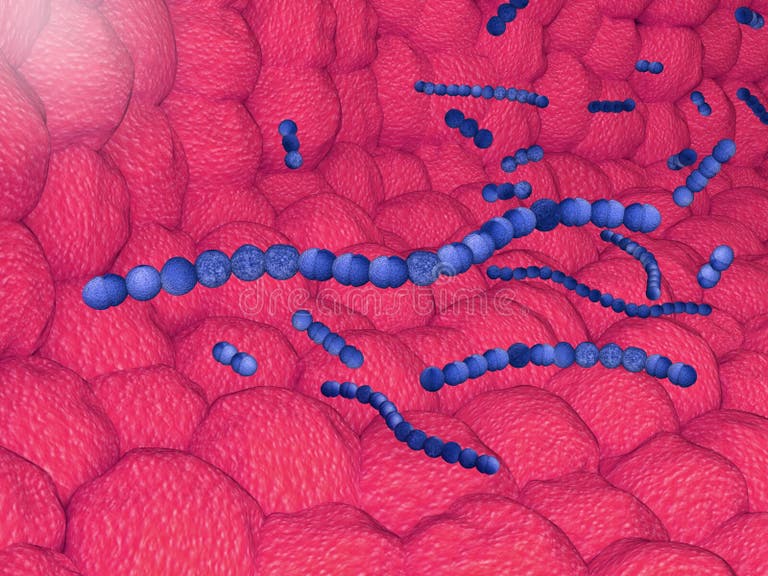 Streptococcus pyogenes stock illustration. Illustration of pyogenes ...