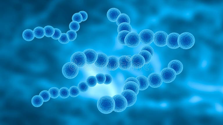 Streptococcus Pyogenes Stock Illustrations – 486 Streptococcus Pyogenes ...